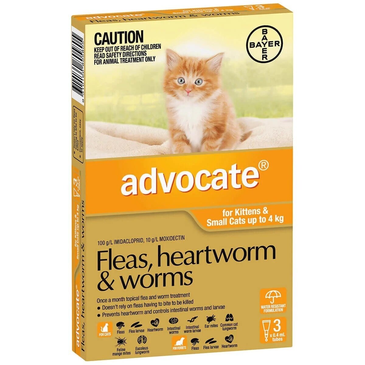 Advocate Cat