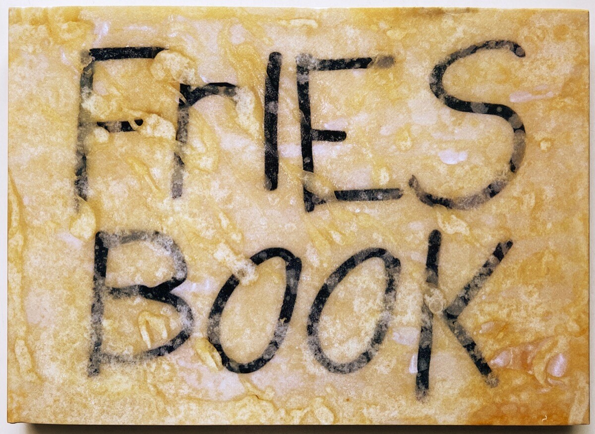 PZtoday The Fries Book