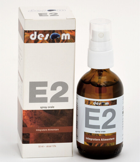 Desom E2