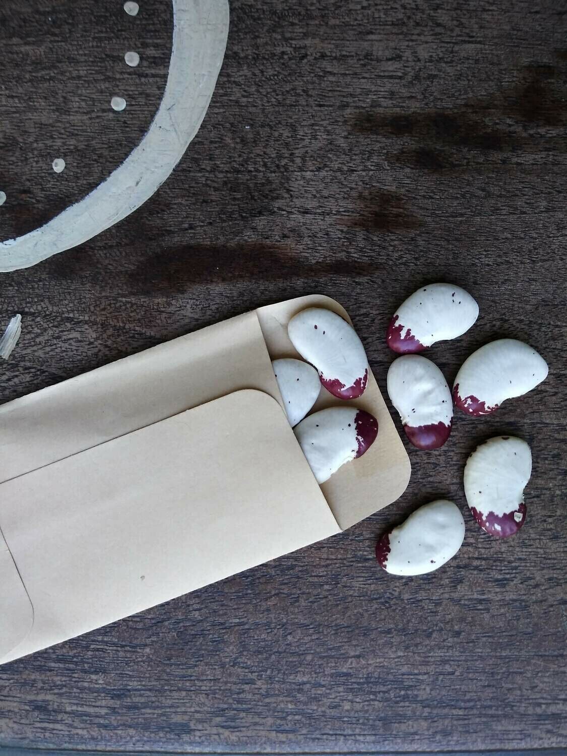 Seven-Year Lima Bean SEEDS