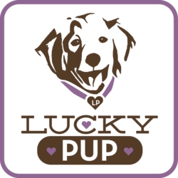 Lucky Pup
