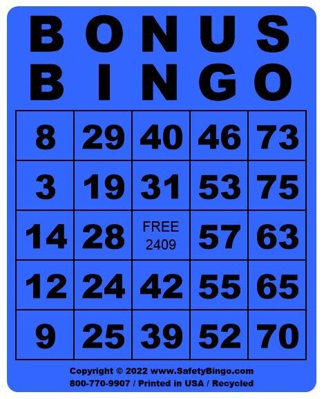 BW 3x4 BONUS BINGO Cards (Pack of 250)