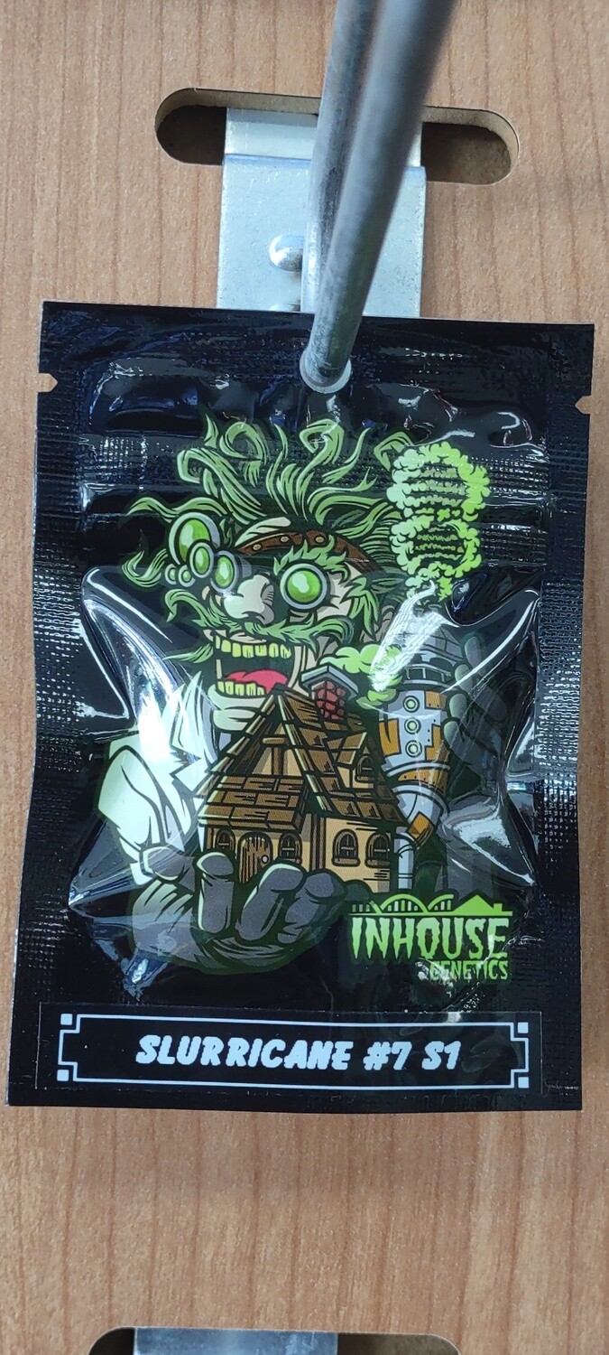 In House Genetics Slurricane #7 S1 5pk (FEM)