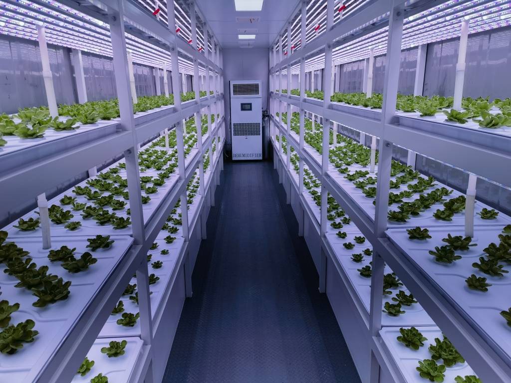 Commercial Vertical Farms