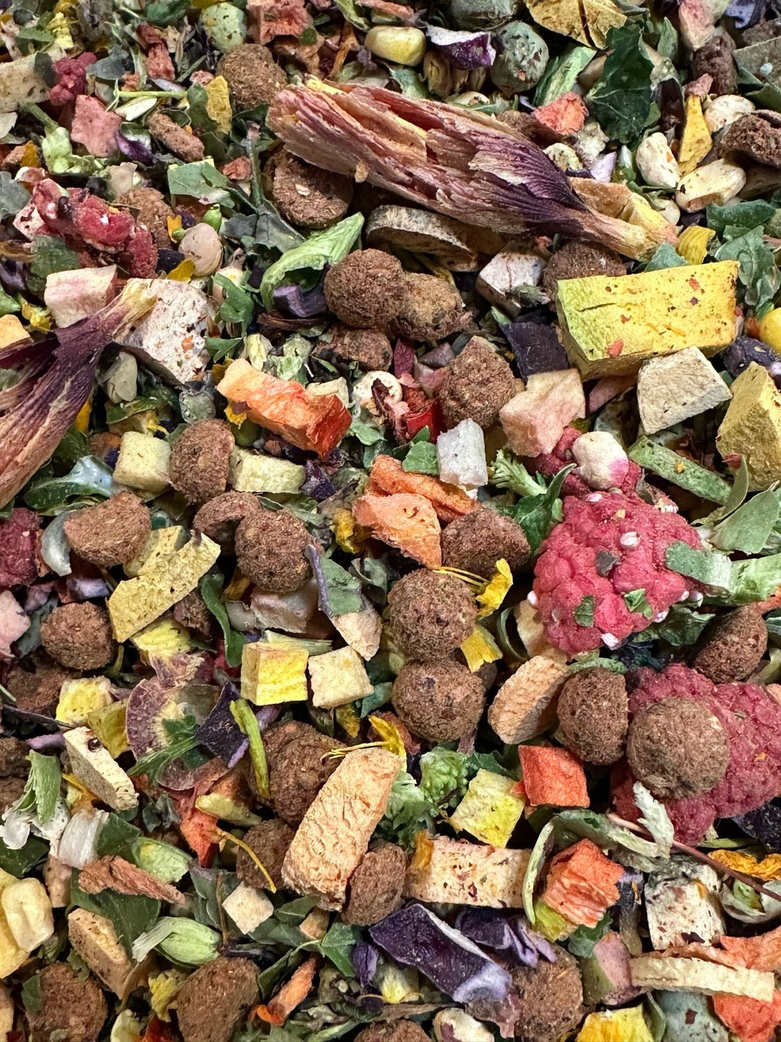 Biodiversity Freeze-Dried Bird Bits (Small-Medium Birds) 4oz Bag