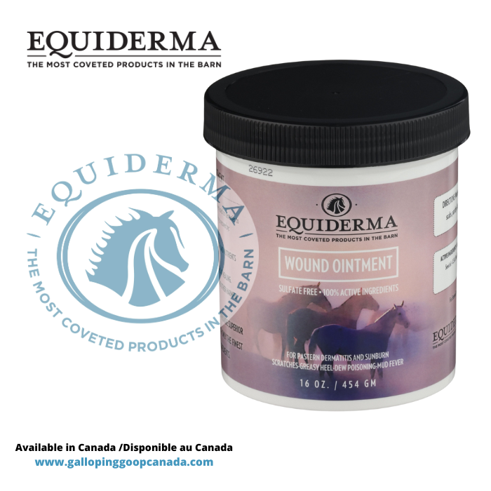 503 - Equiderma Pommade pour plaie