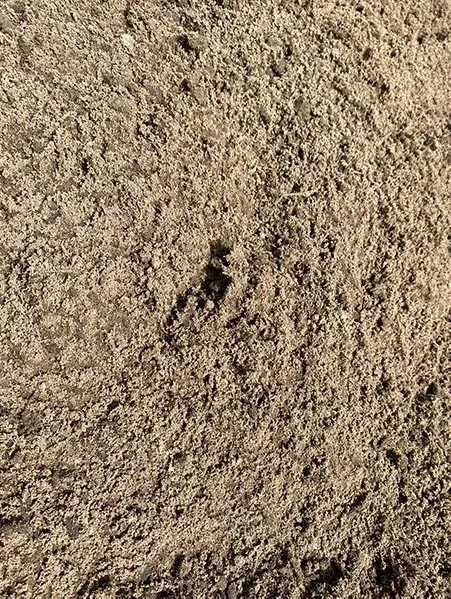 Buy turf underlay | Sydney | Loose tip