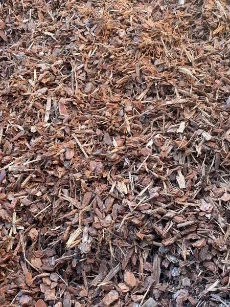 Buy pine bark | Loose tip