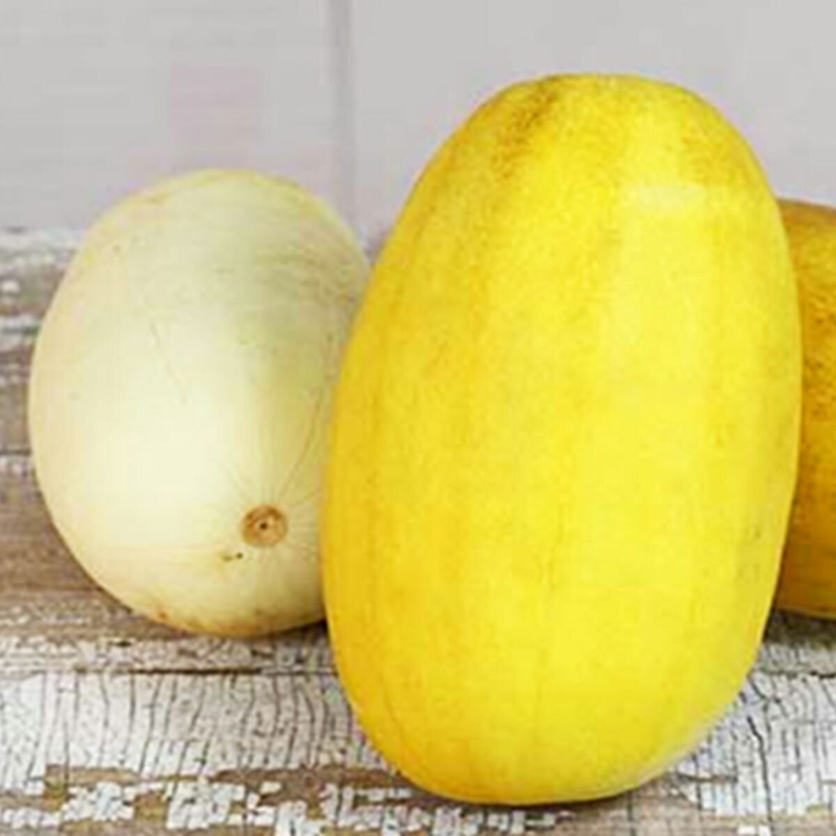 Cucumber - Giant Russian Seeds