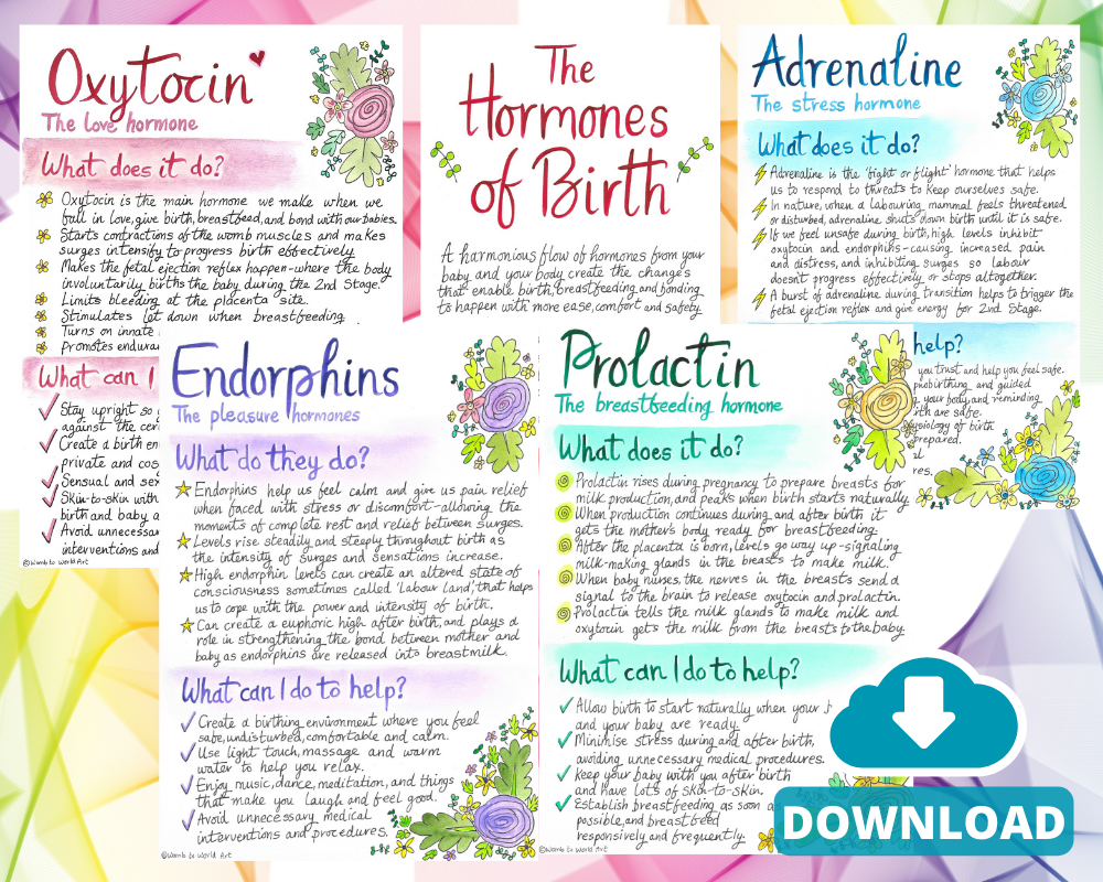Hormones of Physiological Birth Hypnobirthing Handouts Download