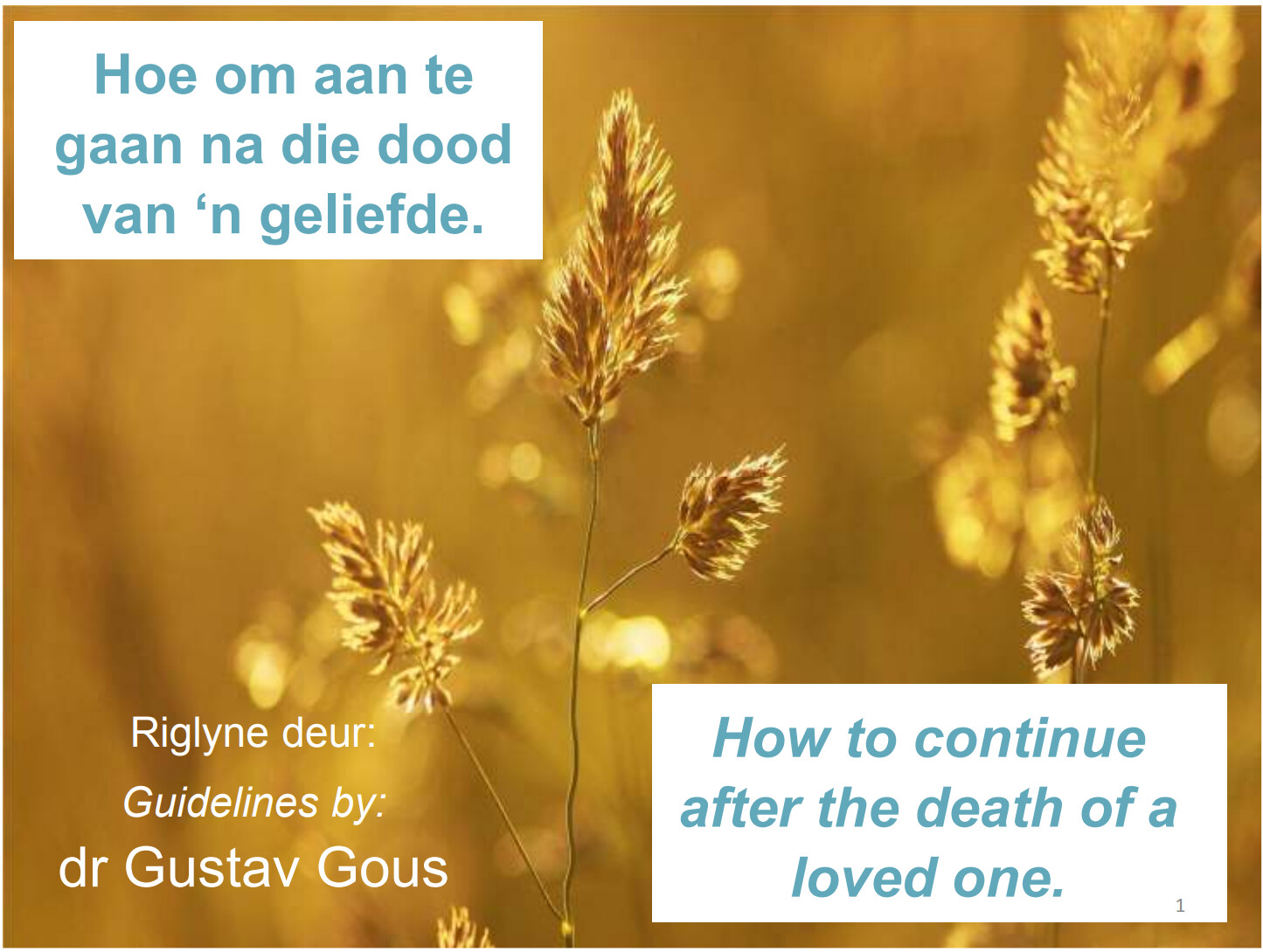 Hoe om aan te gaan na die dood van 'n geliefde