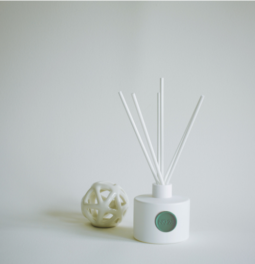 Green No. 28 Reed Diffuser Set Case