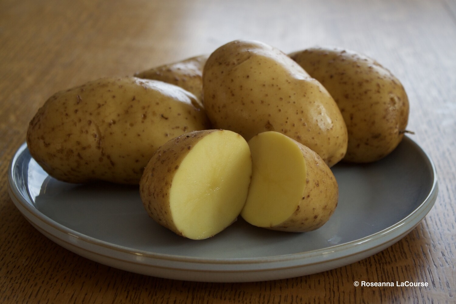 Carola Seed Potato | Mid Season Seed Potatoes | The Maine Potato Lady ...
