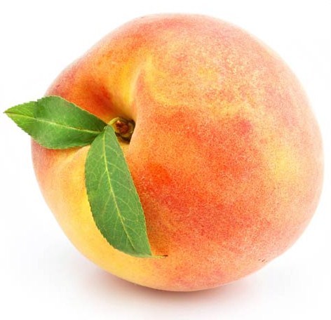 Florida King Peach | Legg Creek Farm