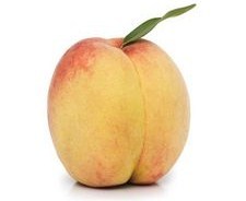 June Gold Peach | Legg Creek Farm