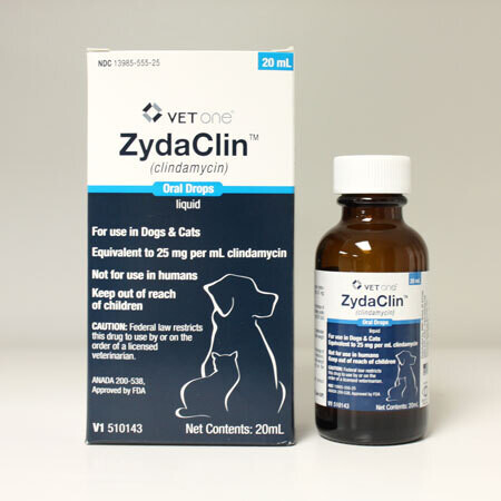 Clindamycin Oral Solution 20ml Bottle