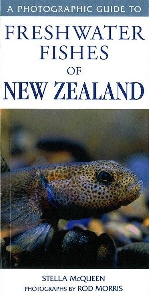 Photographic Guide to Freshwater Fishes of NZ – Store – Tiritiri Matangi