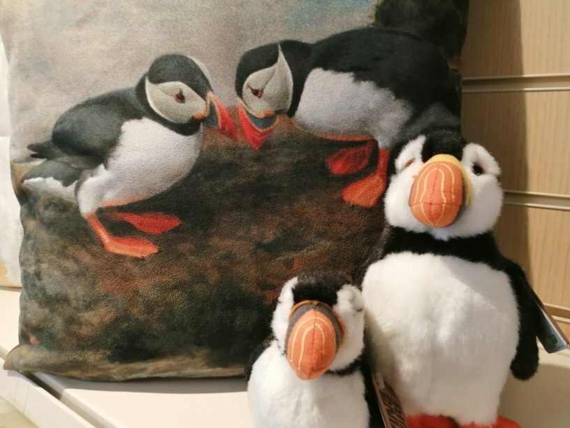 Puffins