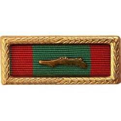 Vietnam Civil Action Unit Citation Ribbon