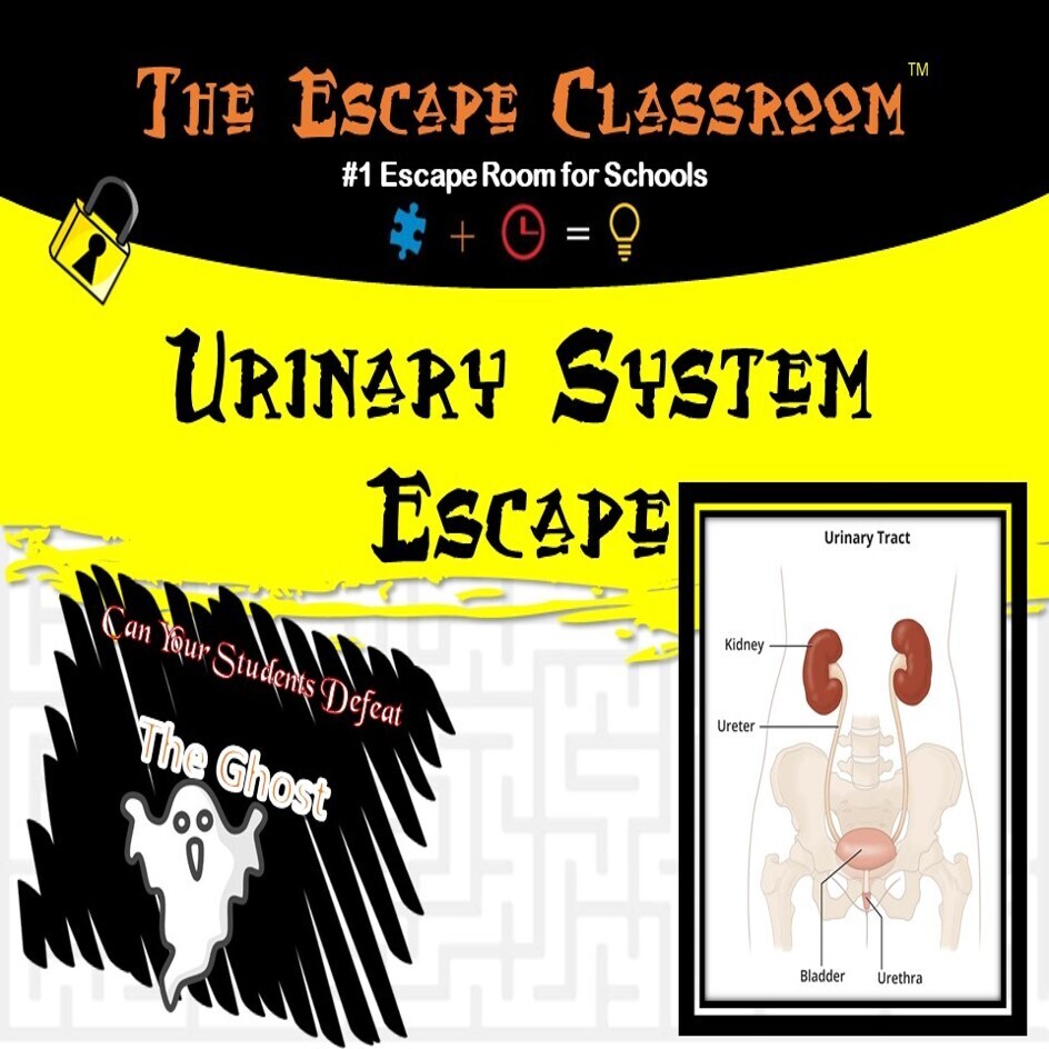 Anatomy: Urinary System Escape (1 Teacher License)