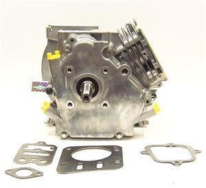 Briggs and Stratton 206 or Animal Sealed Short Block.