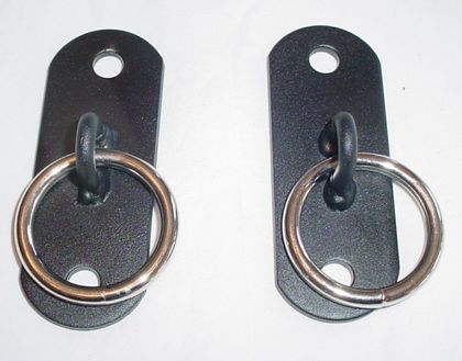 2 hole wall plate with ring bondage equipment