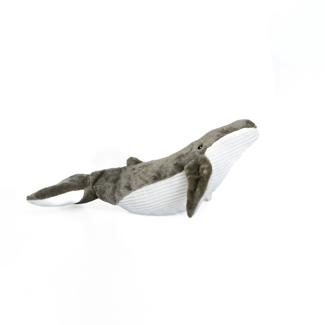 Humpback Whale Plush Toy - Shop Shoalhaven - Shoalhaven - South Coast NSW