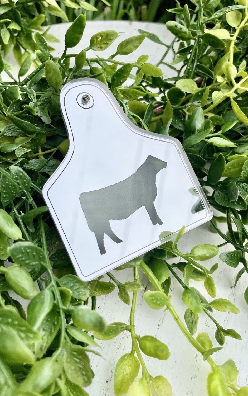 FFA Ear Tag Steer