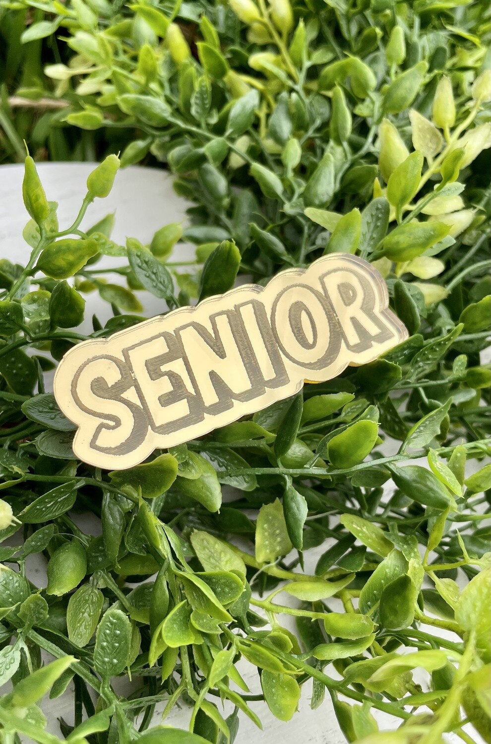 Senior Script (Trailer Park)