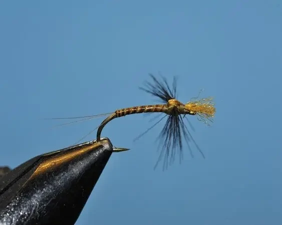 Green Drake Spent Spinner - SP - Fly Tying Library | Dry Fly Innovations