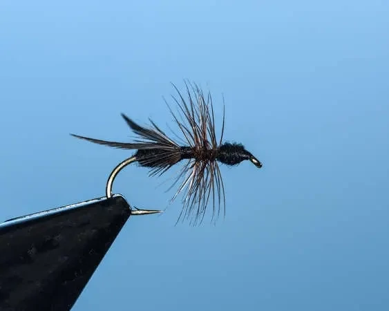 Black Ant - Fly Tying Library | Dry Fly Innovations