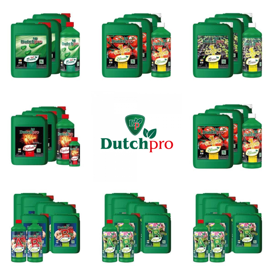 Dutchpro