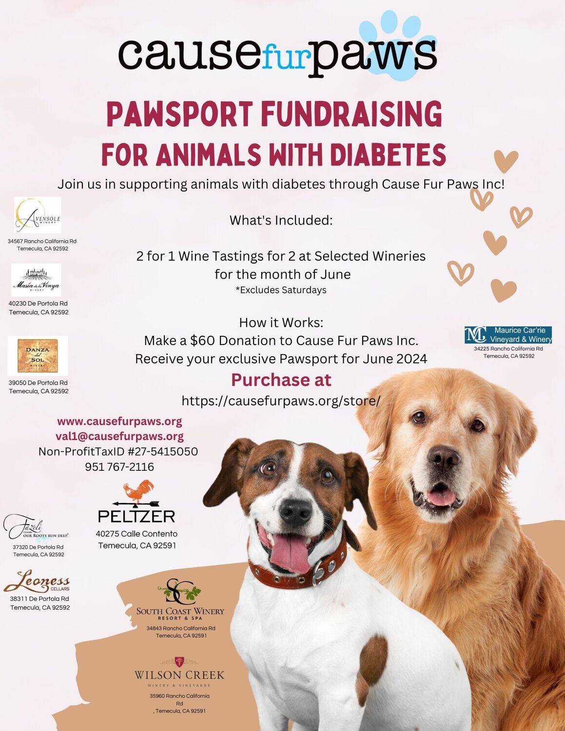 Pawsport Ticket – Store – Cause Fur Paws