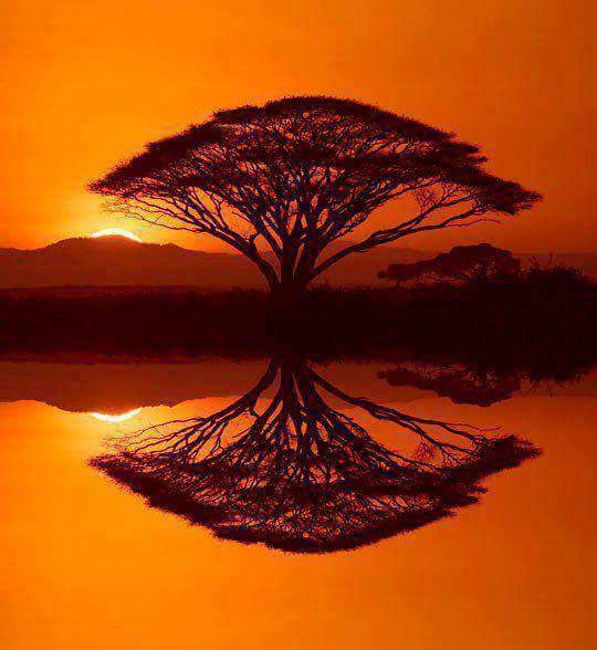 The Gathering with Roger B.