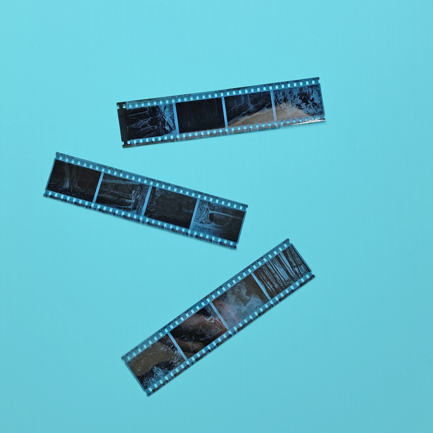 Negative and Slide Scanning Per Frame