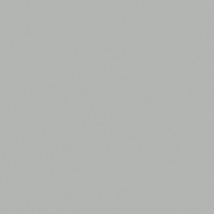 Corian Solid Surface Sample - Silver Gray | Store - Parksite