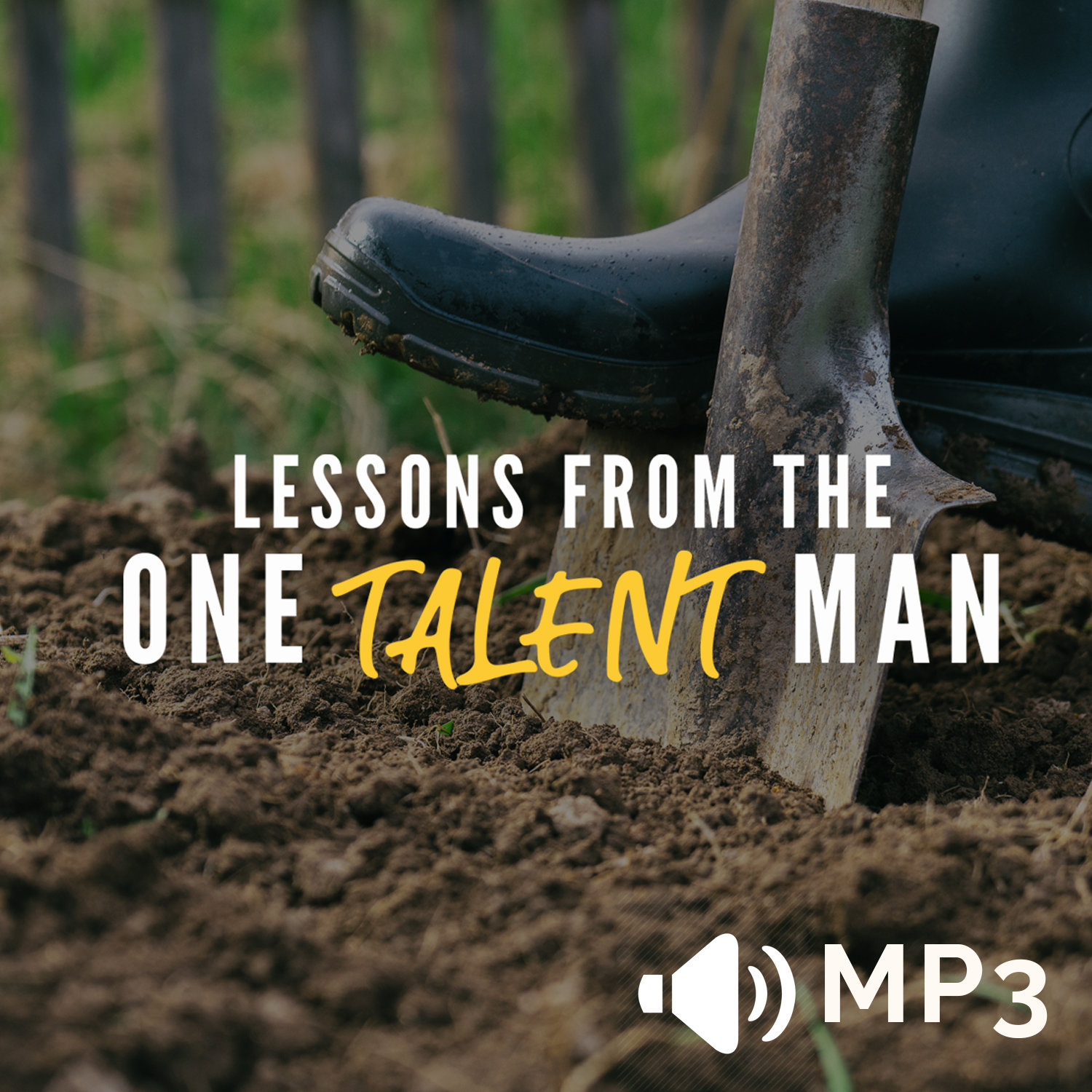 Lessons from the One Talent Man Part 3 - Store