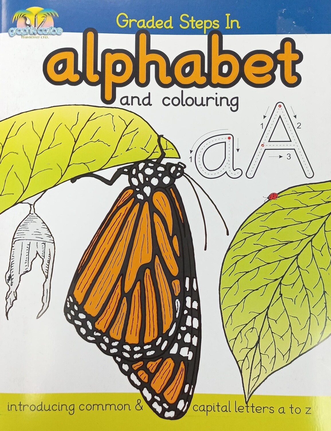 Graded Steps in Alphabet and Colouring Introducing Common and Capital ...