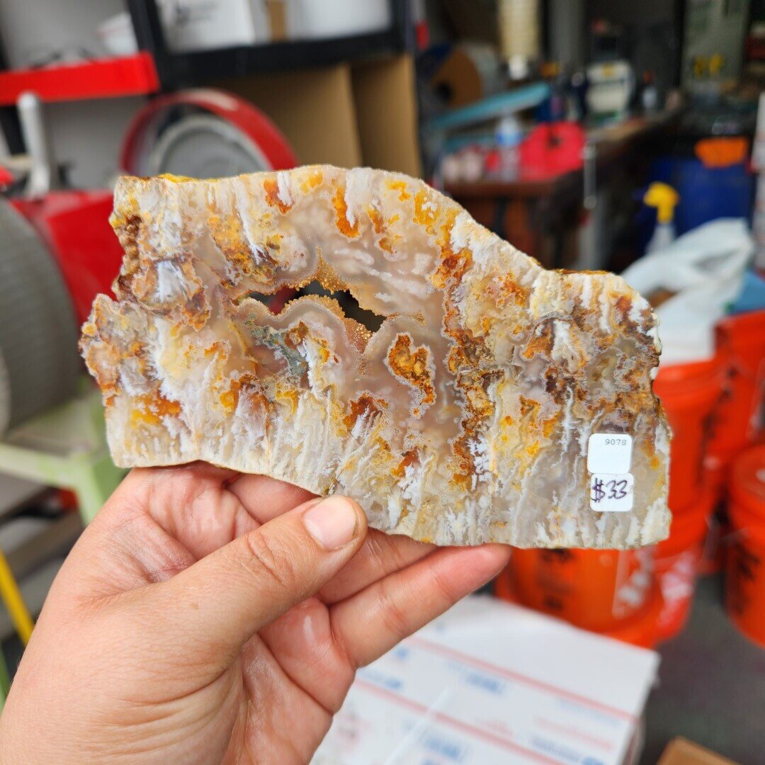 Feather Ridge Plume Agate Slab