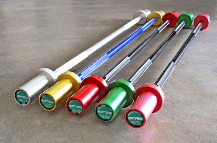 2.5 KG Mini Lifter Bars