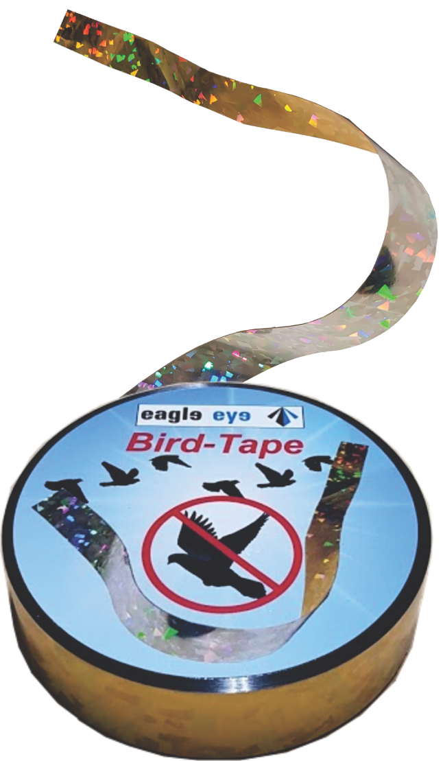Bird Tape – Shop