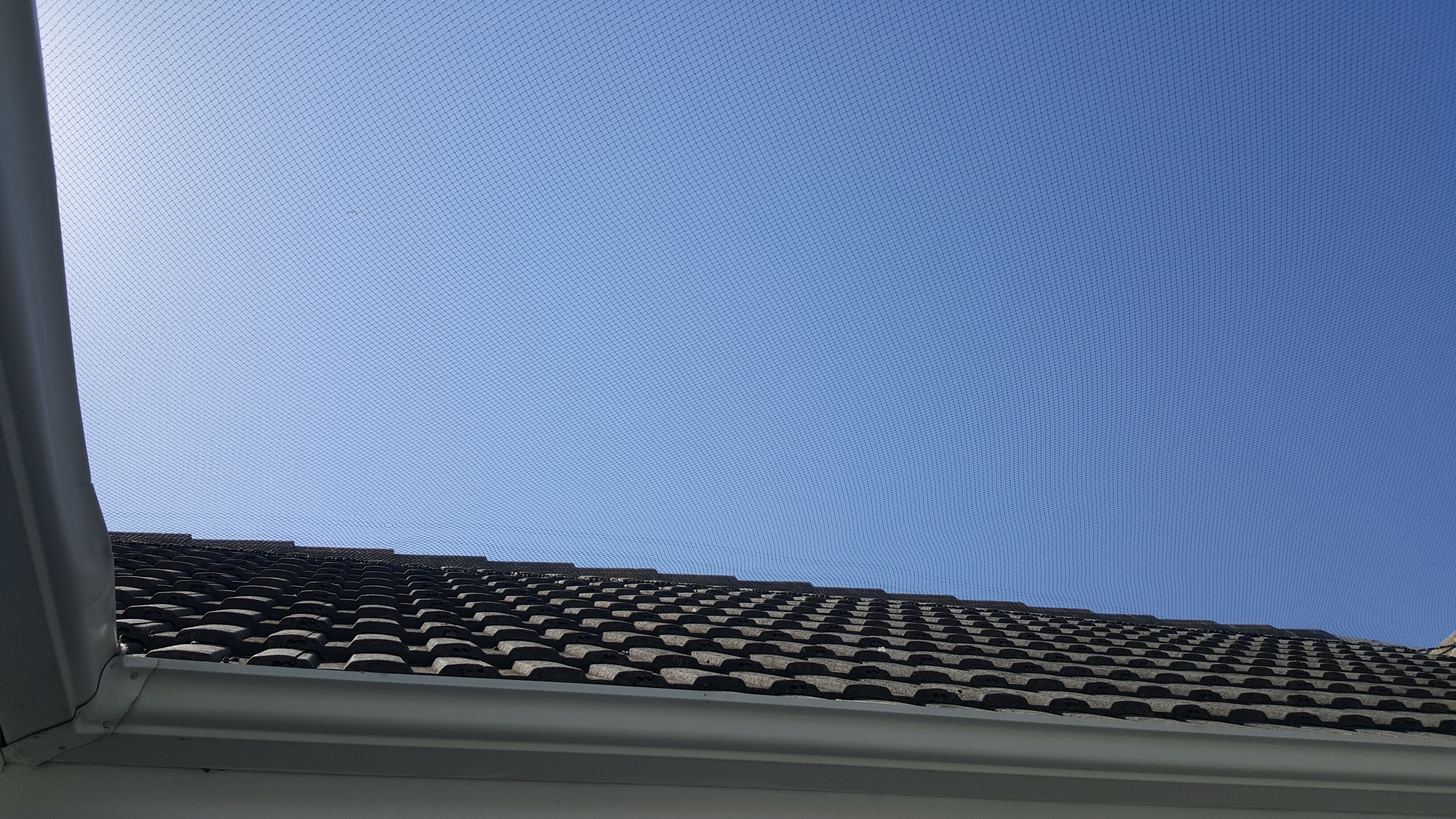 Bird Netting and accessories – Shop