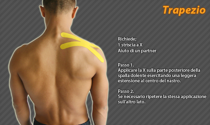 Guide all'applicazione generale