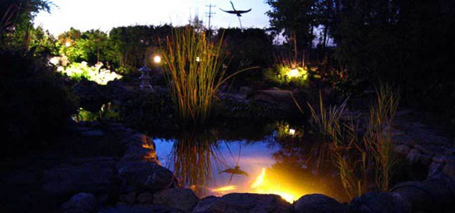 LED Pond Lighting | Pond Products Canada - Hydrosphere Water Gardens