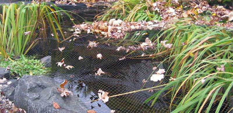 Netting - Leaf and Predator Pond Netting - Pond Products Canada ...