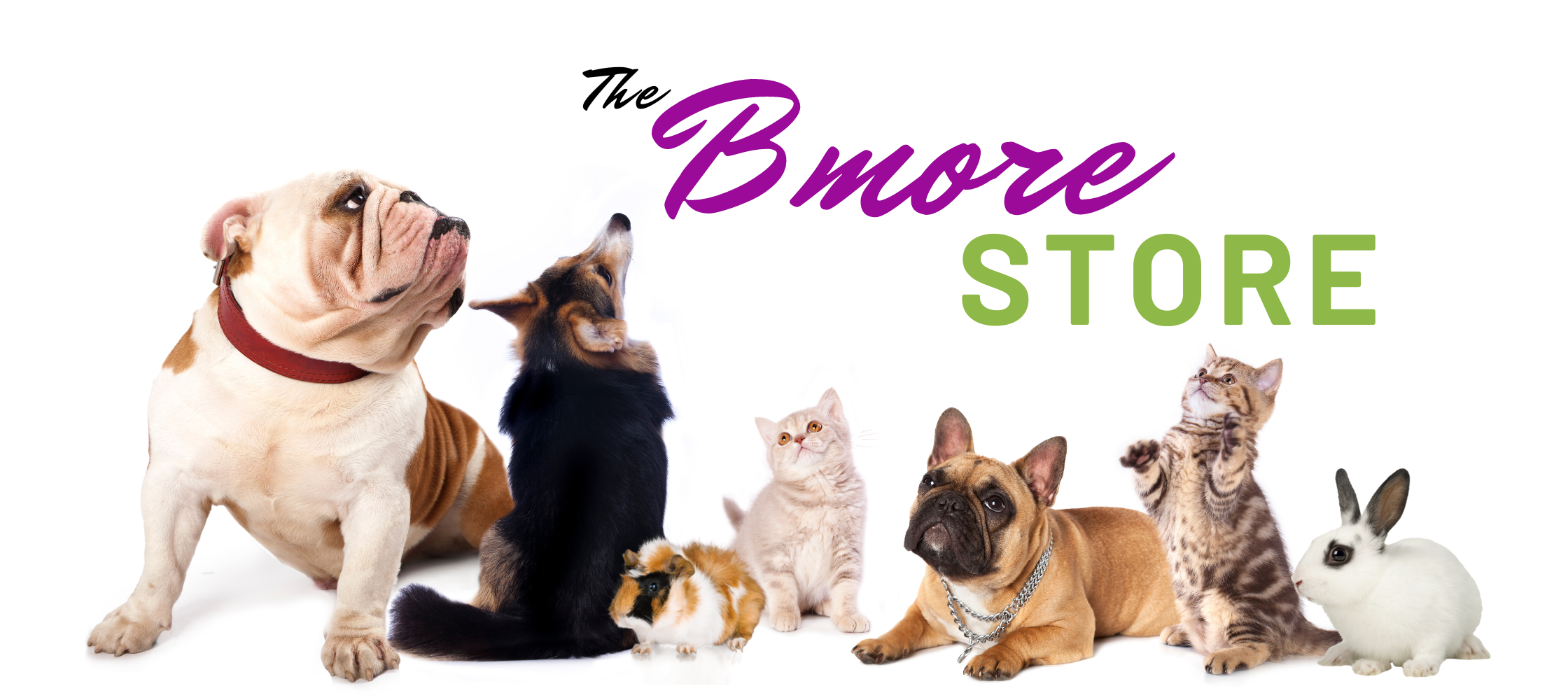 The Bmore Store - Baltimore Humane Society