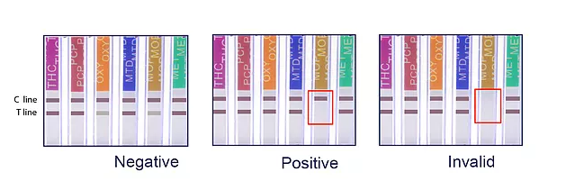 ETG Alcohol Urine Test - testone.co.za