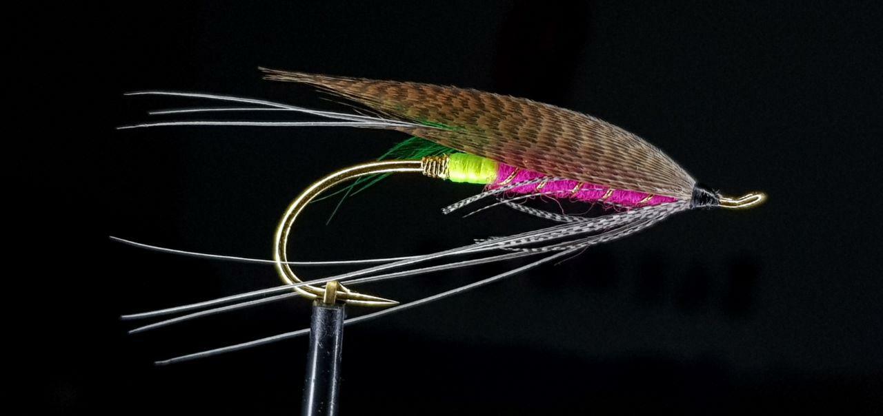 Photography system "Flies photo gadget"