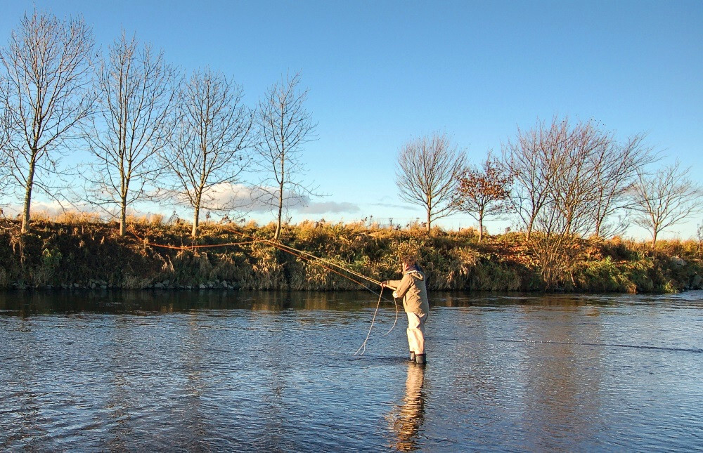 Shop | Barrio Fly Lines