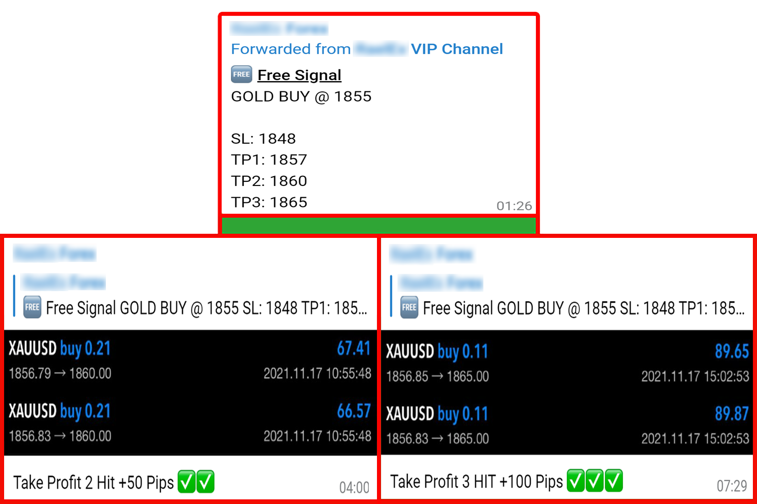 Basic Telegram Group